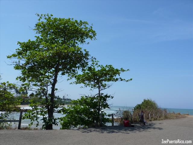 Parque Colón - ZeePuertoRico.com