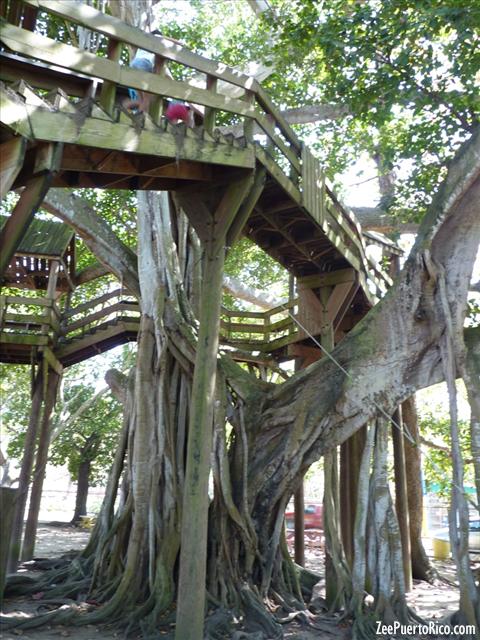 Parque Colón - ZeePuertoRico.com