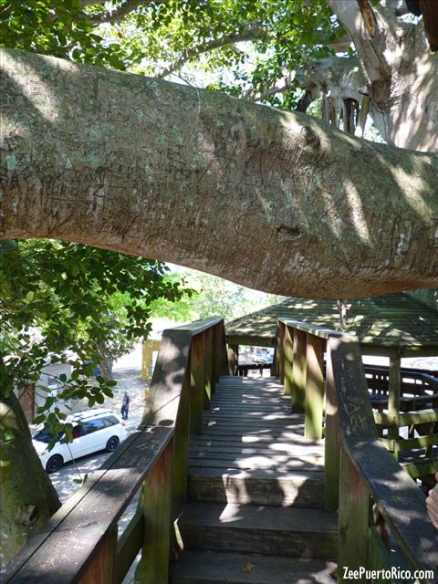 Parque Colón - ZeePuertoRico.com