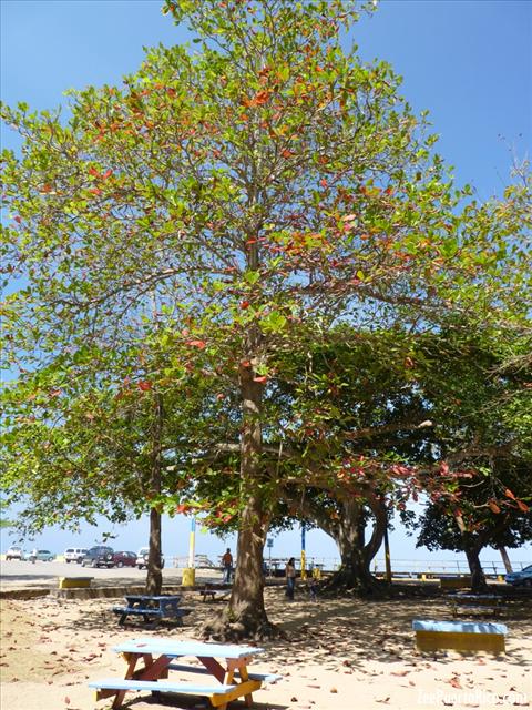 Parque Colón - ZeePuertoRico.com