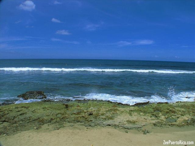 ZeePuertoRico.com - Wilderness Beach