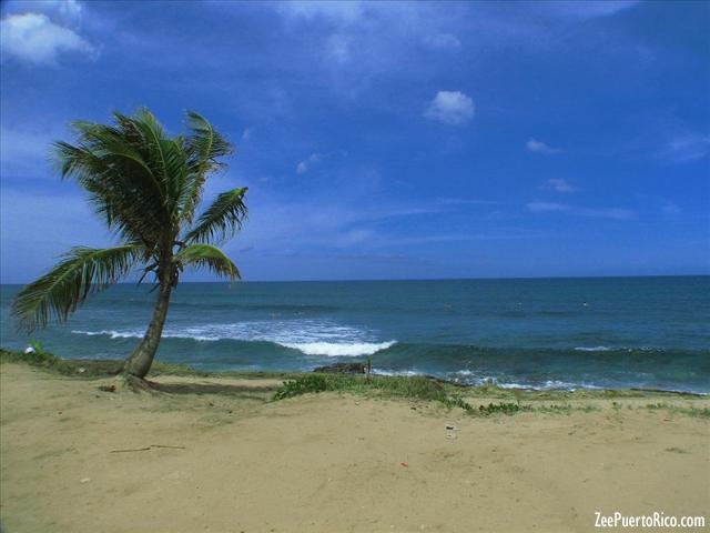 Playa Wilderness - ZeePuertoRico.com