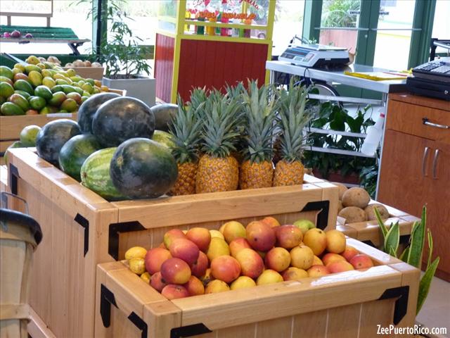 El Mercado de Bayamón - ZeePuertoRico.com
