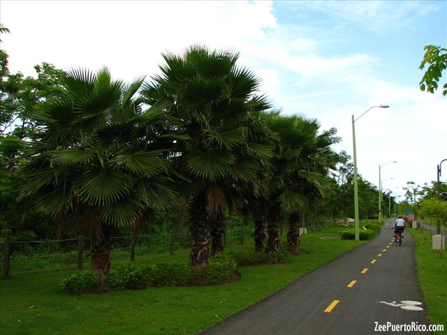 Paseo Lineal del Río Bayamón - ZeePuertoRico.com