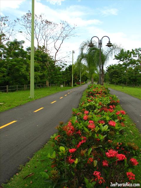 Paseo Lineal del Río Bayamón - ZeePuertoRico.com