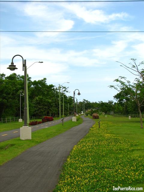 Paseo Lineal del Río Bayamón - ZeePuertoRico.com