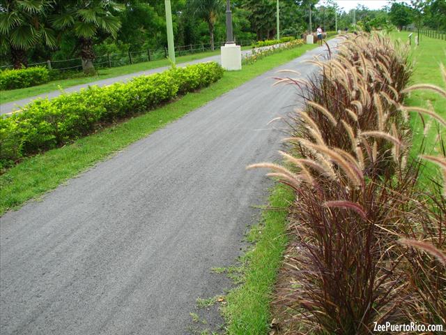 Paseo Lineal del Río Bayamón - ZeePuertoRico.com