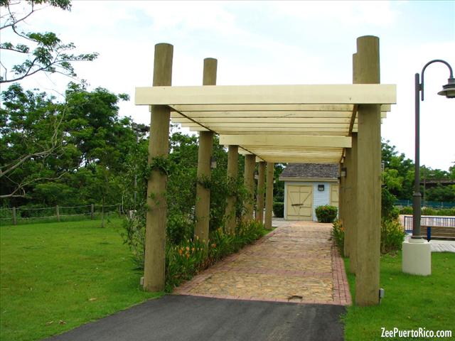 Paseo Lineal del Río Bayamón - ZeePuertoRico.com