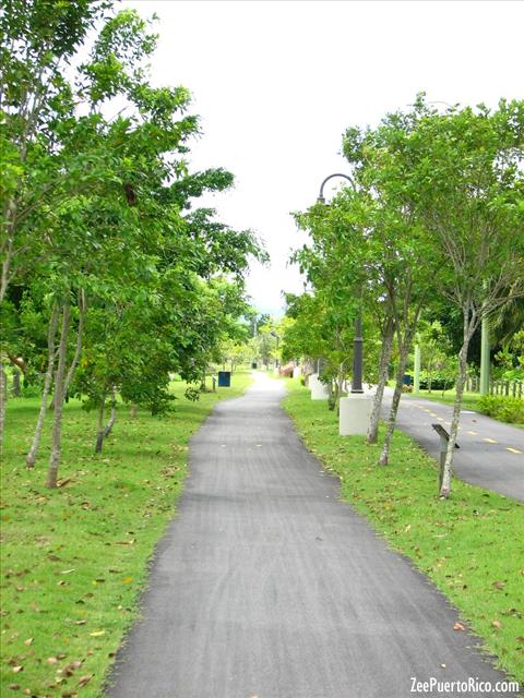 Paseo Lineal del Río Bayamón - ZeePuertoRico.com