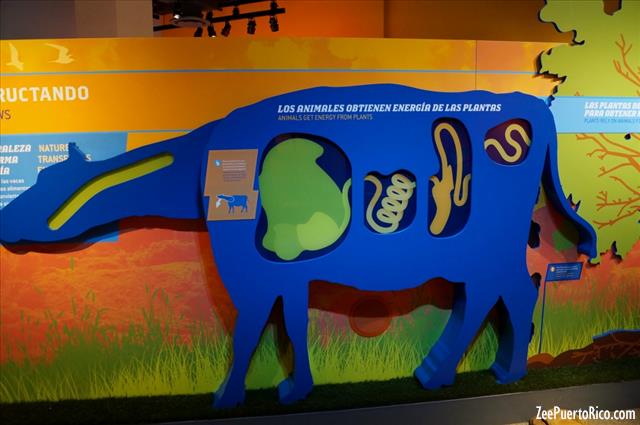 Centro Criollo de Ciencia y Tecnología del Caribe - ZeePuertoRico.com