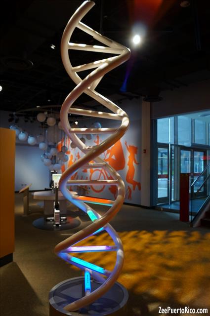 Centro Criollo de Ciencia y Tecnología del Caribe - ZeePuertoRico.com