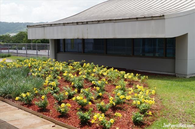 Centro Criollo de Ciencia y Tecnología del Caribe - ZeePuertoRico.com