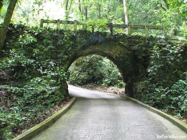 Parque de las Cavernas del Río Camuy - ZeePuertoRico.com