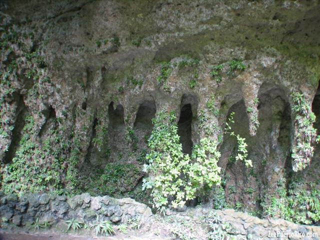 Parque de las Cavernas del Río Camuy - ZeePuertoRico.com