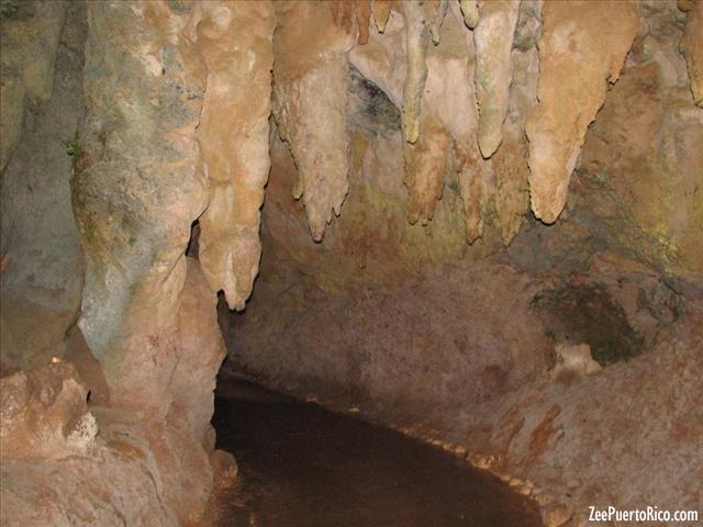 Parque de las Cavernas del Río Camuy - ZeePuertoRico.com