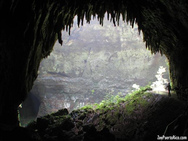 Parque de las Cavernas del Río Camuy - ZeePuertoRico.com