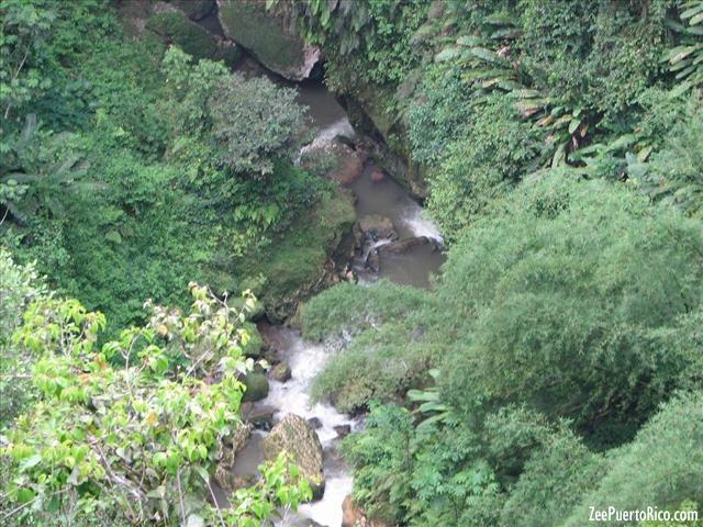 Parque de las Cavernas del Río Camuy - ZeePuertoRico.com