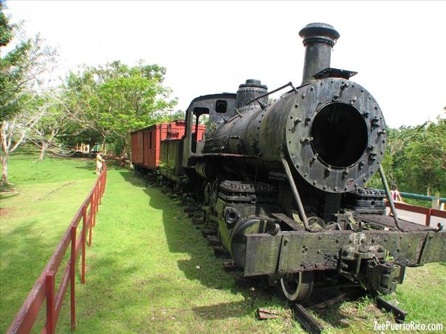 Parque de las Cavernas del Río Camuy - ZeePuertoRico.com