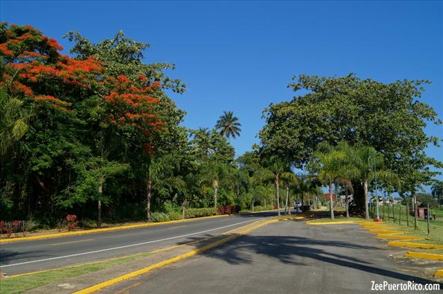 Camuy : ZeePuertoRico.com