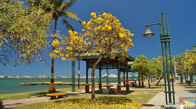 Lancha de Cataño - ZeePuertoRico.com