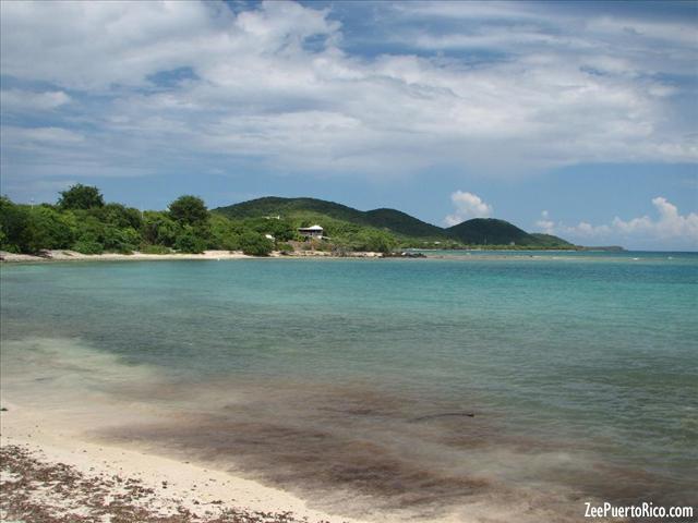ZeePuertoRico.com - Melones Beach