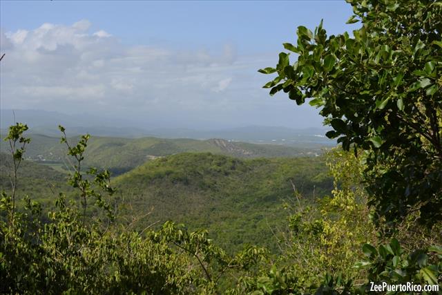 Bosque Seco de Guánica - ZeePuertoRico.com