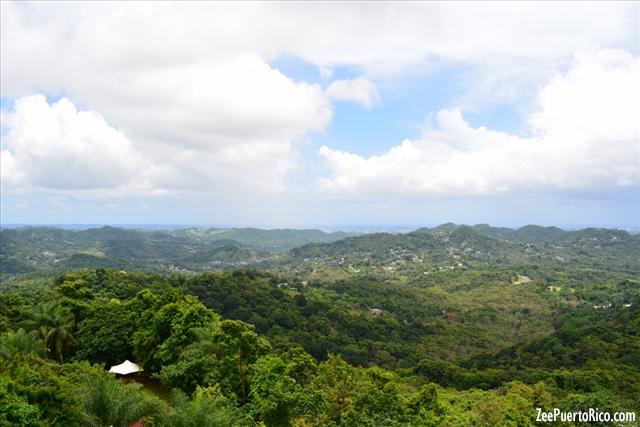 ZeePuertoRico.com - La Marquesa Forest Park