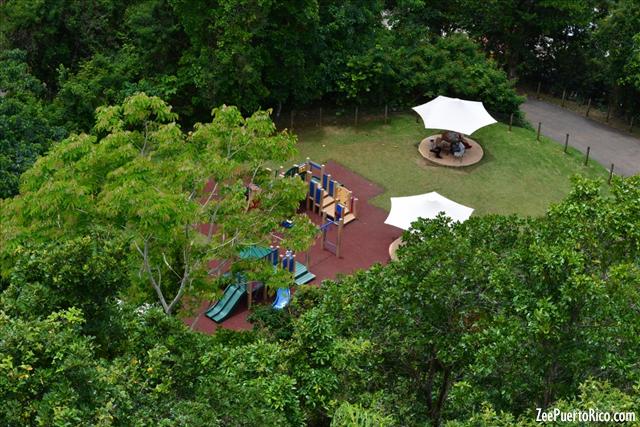 ZeePuertoRico.com - La Marquesa Forest Park