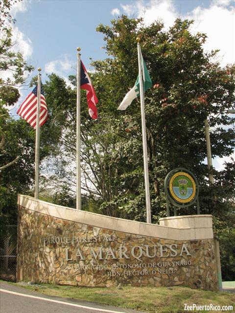 ZeePuertoRico.com - La Marquesa Forest Park