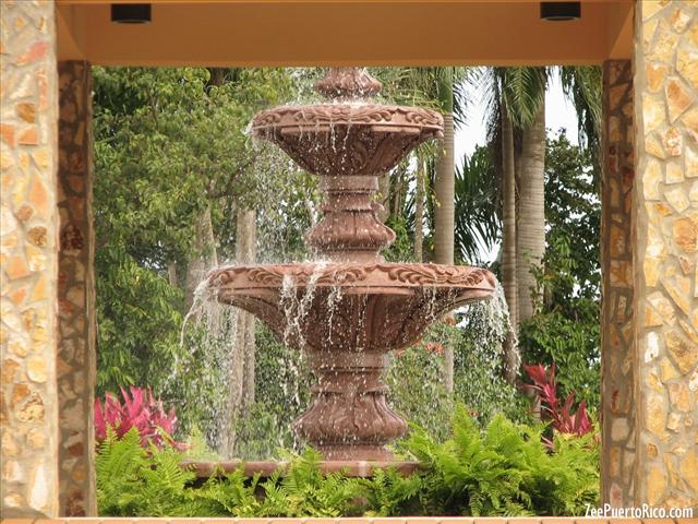 ZeePuertoRico.com - La Marquesa Forest Park