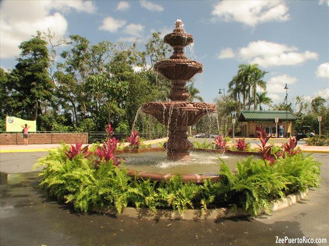 ZeePuertoRico.com - La Marquesa Forest Park