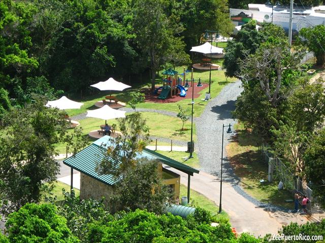 ZeePuertoRico.com - La Marquesa Forest Park