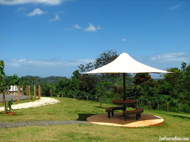 ZeePuertoRico.com - La Marquesa Forest Park