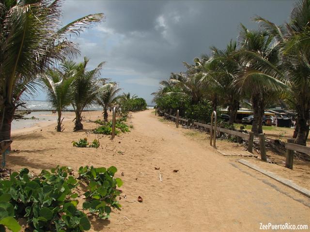 Paseo de Piñones - ZeePuertoRico.com