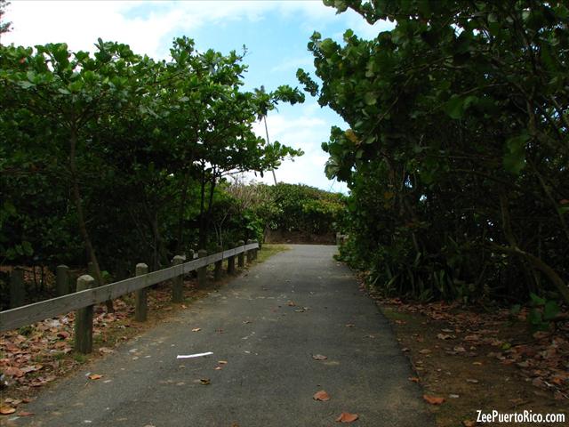 Paseo de Piñones - ZeePuertoRico.com