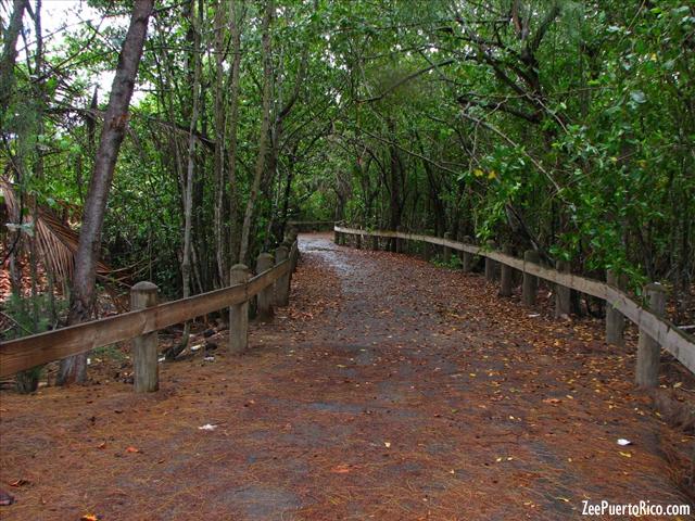Lugares para caminar en Puerto Rico
