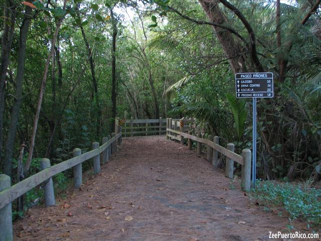 Paseo de Piñones - ZeePuertoRico.com