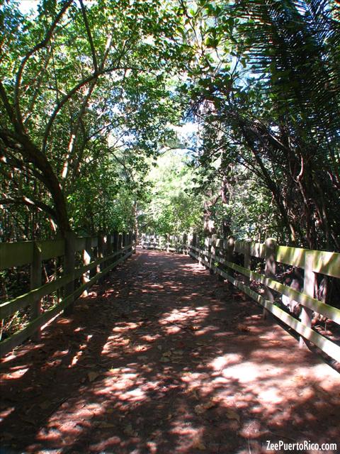 Paseo de Piñones - ZeePuertoRico.com