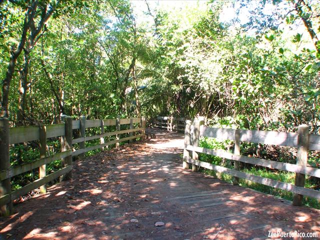 Paseo de Piñones - ZeePuertoRico.com