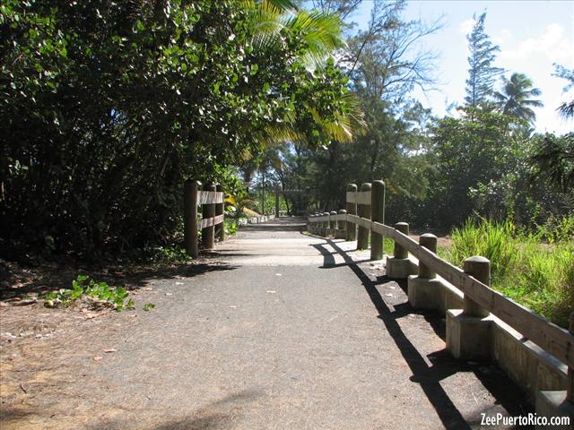 Paseo de Piñones - ZeePuertoRico.com