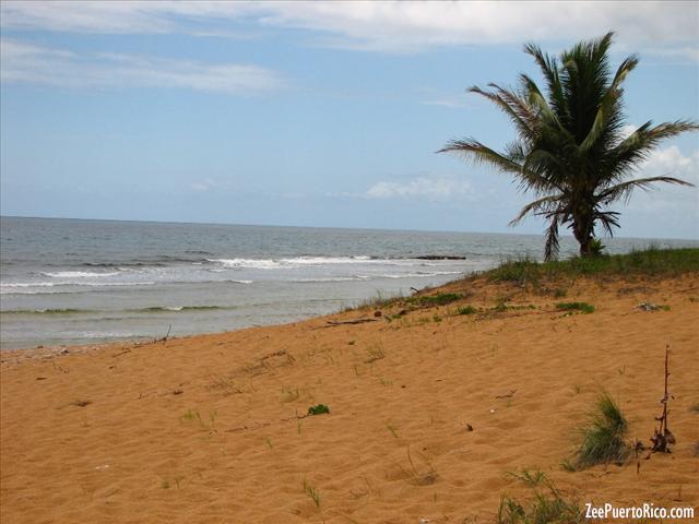 Playa Aviones - ZeePuertoRico.com