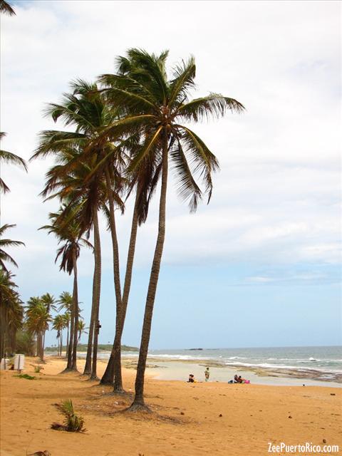 Playa Aviones - ZeePuertoRico.com