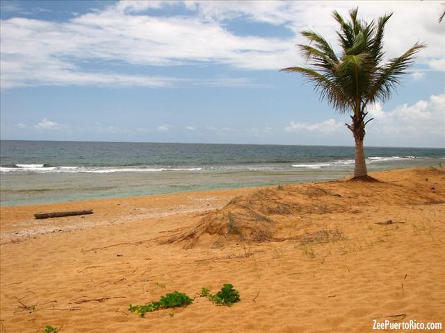 Playa Aviones - ZeePuertoRico.com