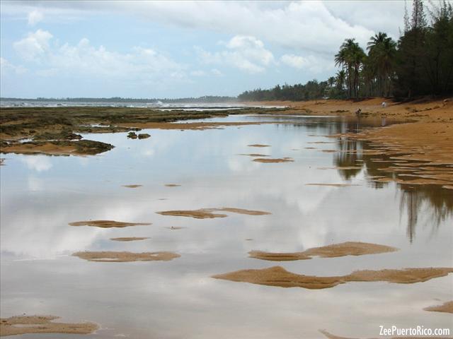 Playa Chatarra - ZeePuertoRico.com
