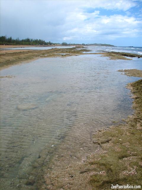 Playa Chatarra - ZeePuertoRico.com