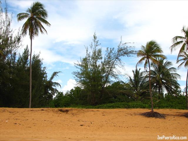 Playa Chatarra - ZeePuertoRico.com