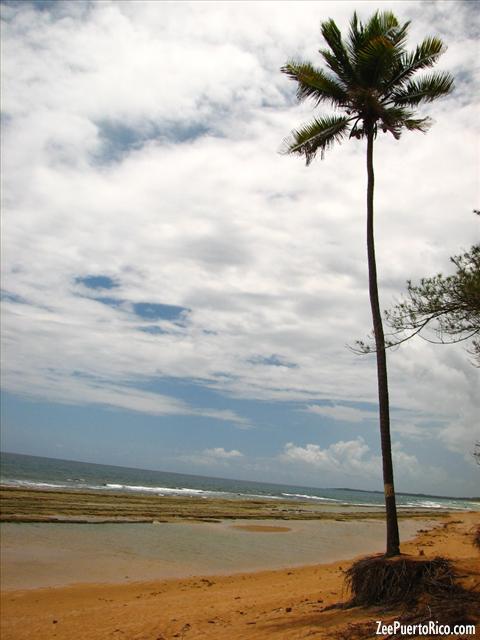 Playa Chatarra - ZeePuertoRico.com