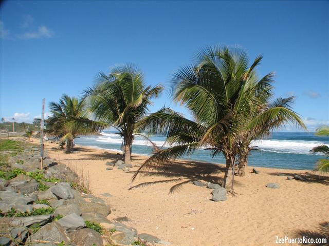 La Posita de Piñones - ZeePuertoRico.com