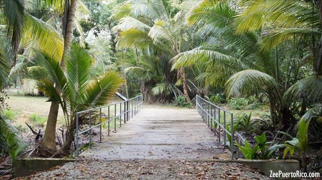 Humedal Punta Tuna - ZeePuertoRico.com