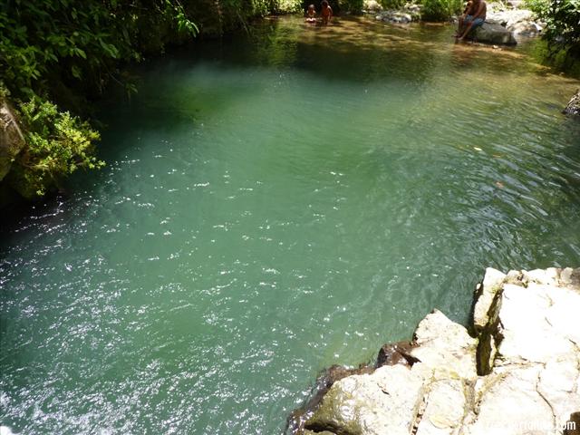 ZeePuertoRico.com - Toro Negro Forest